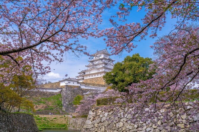Private Customize Tour Himeji from Osaka - An Overview of the Himeji Tour Experience