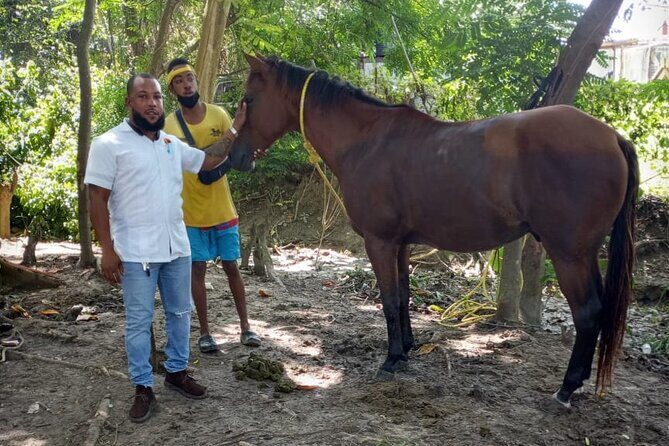 Private & Customize Tour to Martha Brae Rafting and Horseback Riding N Swim - Authentic Experiences and Hidden Gems