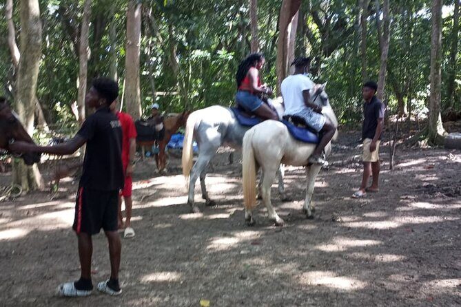 Private & Customize Tour to Martha Brae Rafting and Horseback Riding N Swim - Who Should Consider This Tour?