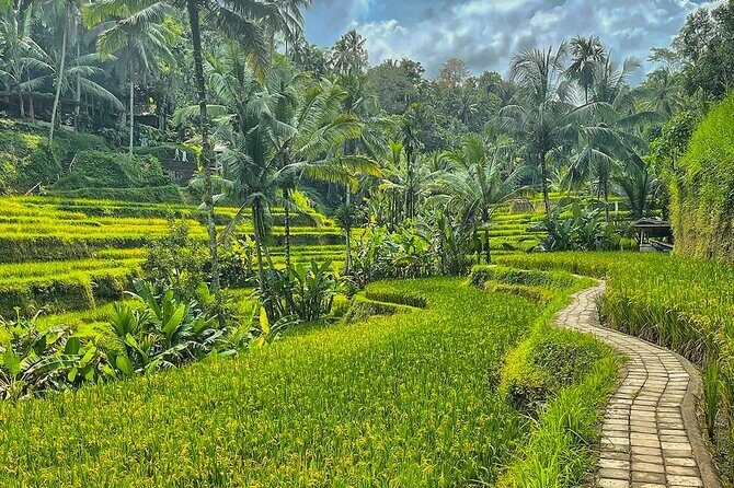 Private Customize Ubud Day Tour With Experienced Driver - Itinerary Breakdown: What Stops Make This Tour Special?