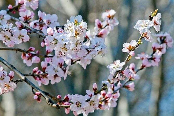 Private Customized Beijing Garden Tour - Key Points