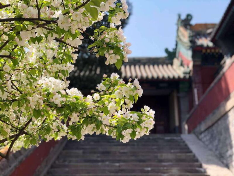 Private Customized Beijing Garden Tour - Introduction: Why Choose a Private Garden Tour in Beijing?