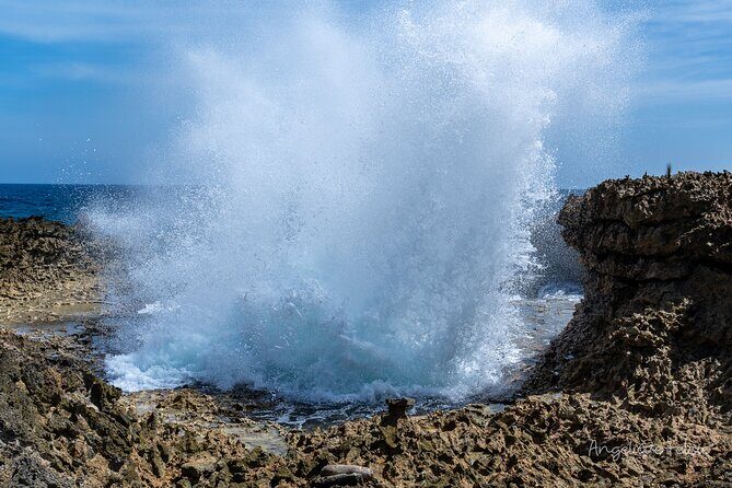 Private Customized Day Tour in Curaçao - Exploring Curaçao Your Way: What’s Included and How It Works