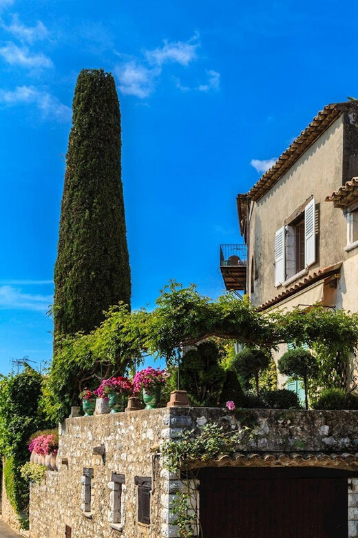 Private Customized French Riviera Tour from Port Villefranch - The Value of This Tour