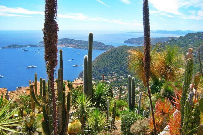 Private Customized French Riviera Tour from Port Villefranche 8H - An Authentic and Practical Tour of the French Riviera