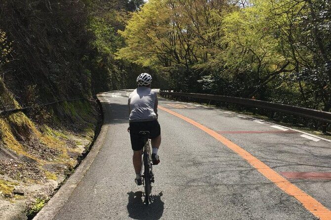 Private & Customized - Kansai Cycle tour - Who Will Love This Tour?