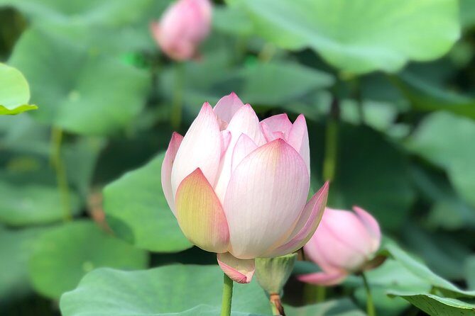 Private Customized Macau Day Tour from Hong Kong - The Cost and What You Get