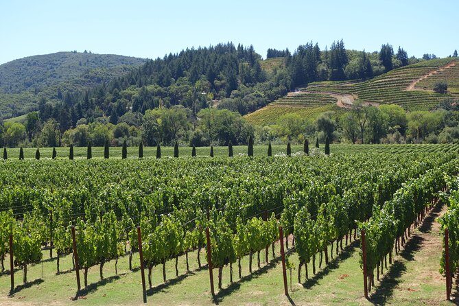 Private, Customized Napa Valley Wine Tasting Tour 6To14 passenger - Who Will Love This Tour?
