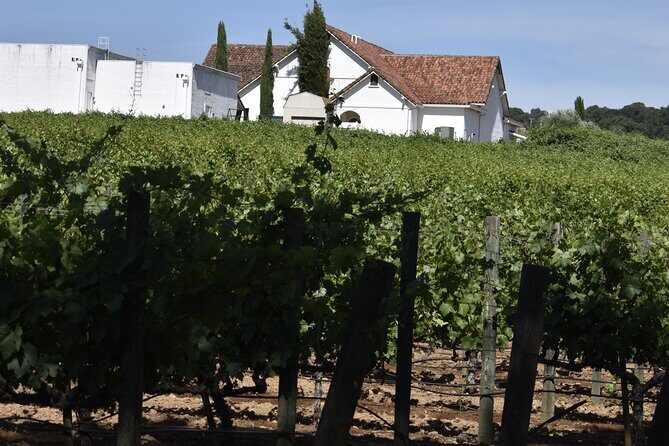 Private, Customized Napa Valley Wine Tasting Tour 6To14 passenger - FAQs