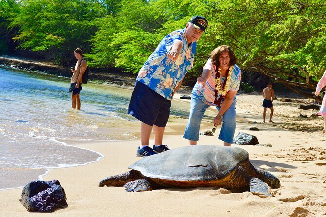 Private Customized Oahu Full Day Tour - FAQs