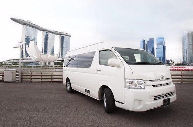 Private Customized Singapore Car Tour (Half Day or Full Day) - What Travelers Say