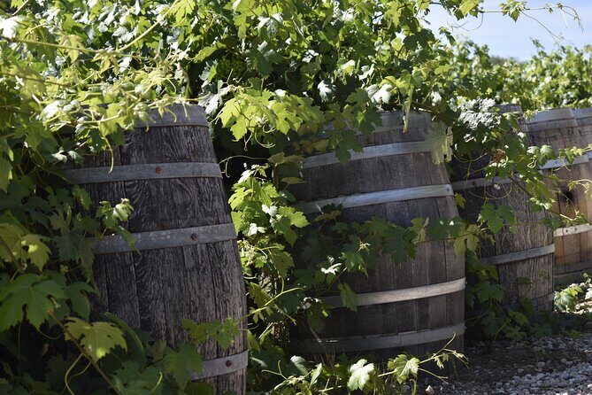 Private, Customized Sonoma Valley Wine Tour - FAQ