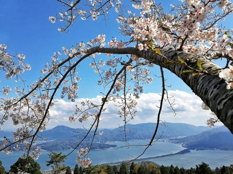 Private Customized Tour in Amanohashidate and Ine-cho area - FAQs