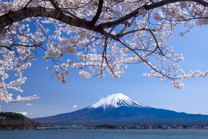 Private Customized Tour in Mount Fuji - Key Points