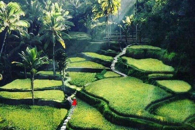 Private Customized Tour with Local Guide - Introduction to the Experience