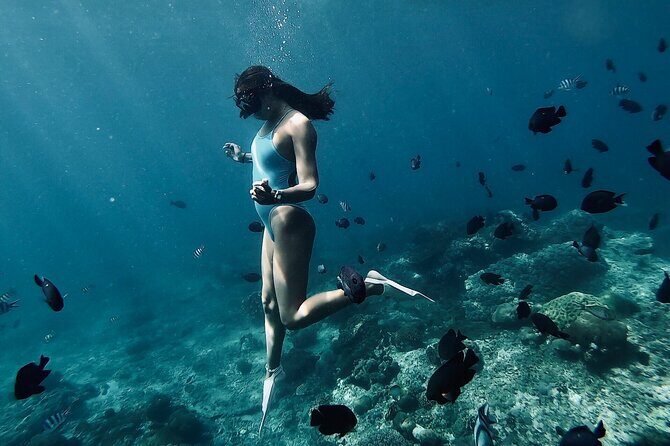 Private Customized Tour with Local Guide - What Travelers Say