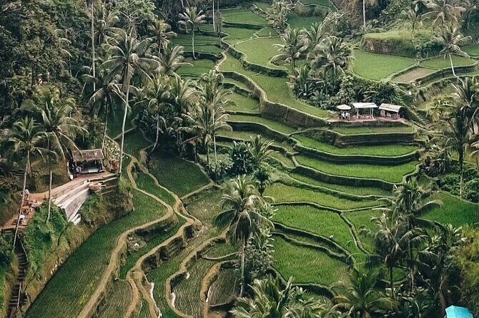 Private Customized Tour with Local Guide - The Sum Up: Is This Tour for You?