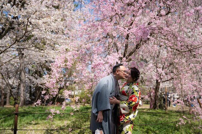 Private Customized Tour with Local Guide In Kyoto - Exploring Kyoto with a Private Guided Tour: A Practical Review