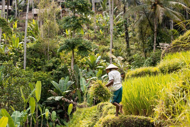 Private Customized Trip to Ubud - What Travelers Say
