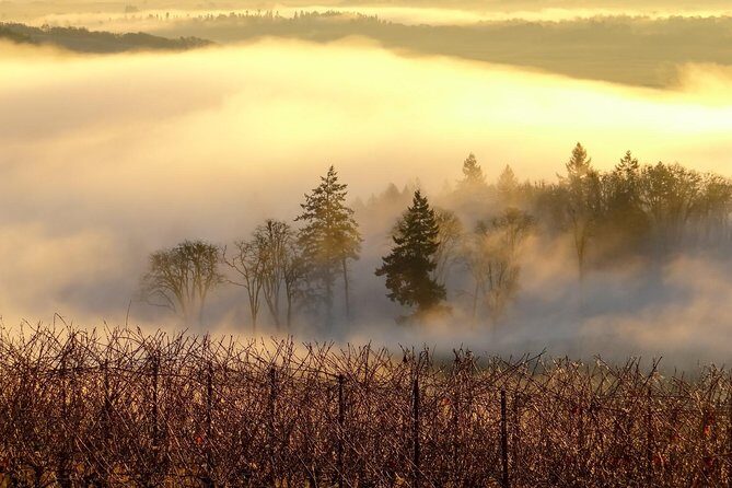 Private Customized Willamette Valley Wine Maker Tour with lunch - Who Should Consider This Tour?
