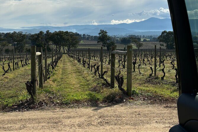 Private Customized Yarra Valley Wine Tour - Summary