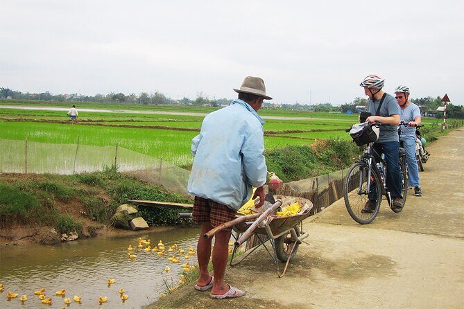Private Cycling Tour in Rural Hue with Farming Experience - Who Will Love This Experience?