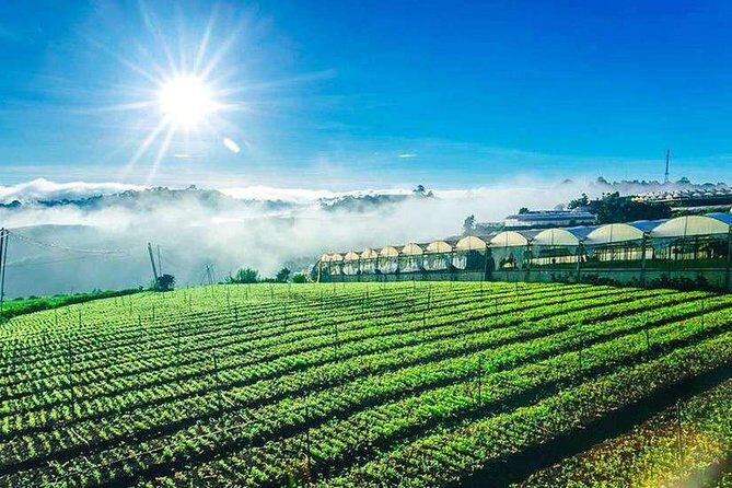 Private Da Lat 3 Days 2 Nights From Saigon - Final Thoughts