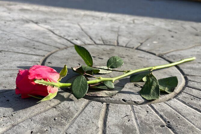 Private Dachau Concentration Camp Memorial Site Tour from Munich - The Complete Itinerary: What to Expect at Every Step