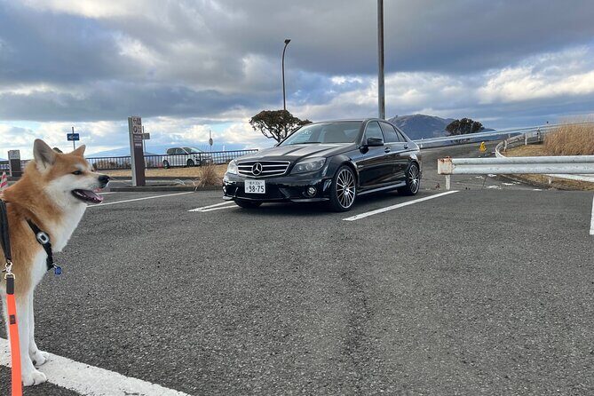 Private Daikoku Parking Area, Hakone turn Pike, Umihotaru Tours - An In-Depth Look at the Tour Itinerary