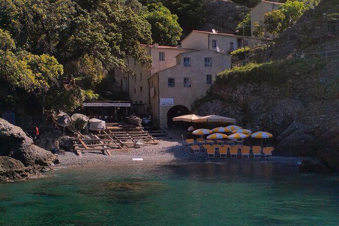 Private daily tour and charter boat from Portofino - Key Points