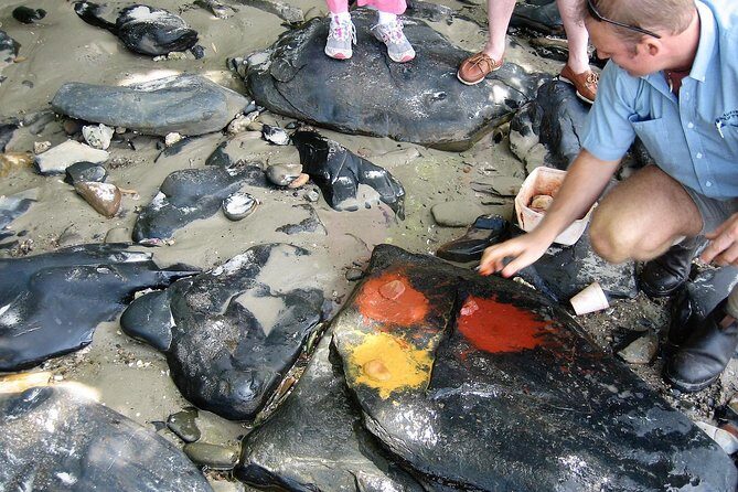 Private Daintree Wanderer Tour - The Sum Up: Is the Private Daintree Wanderer Tour Worth It?