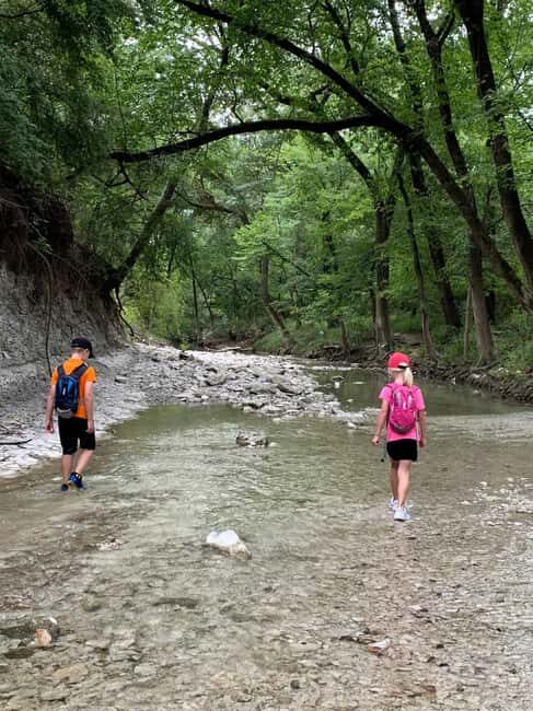 Private: Damajagua Waterfalls Adventure with Jungle Trek - Key Points