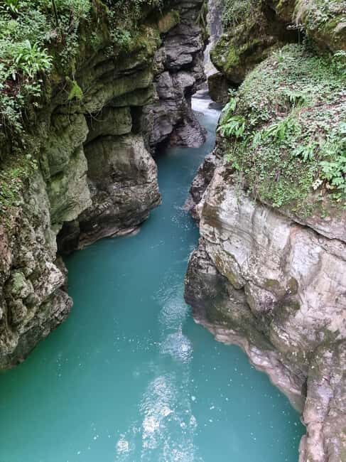 Private: Damajagua Waterfalls Adventure with Jungle Trek - Scenic Jungle Trek and Natural Beauty