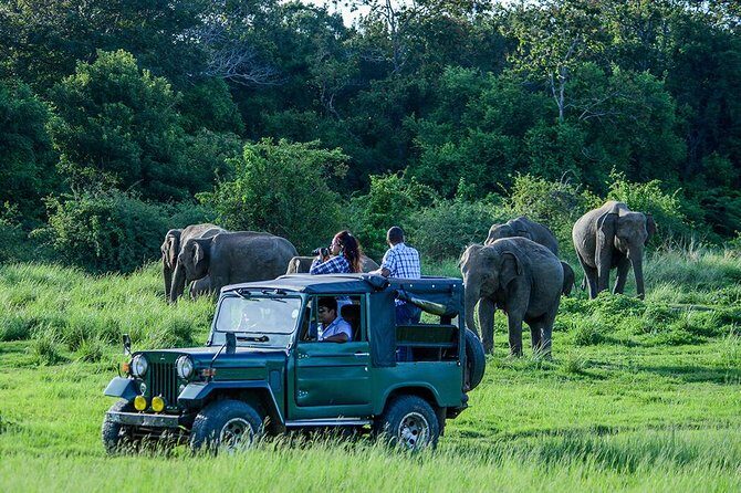 Private Dambulla & Kaudulla National Park Day Tour From Colombo - Introduction
