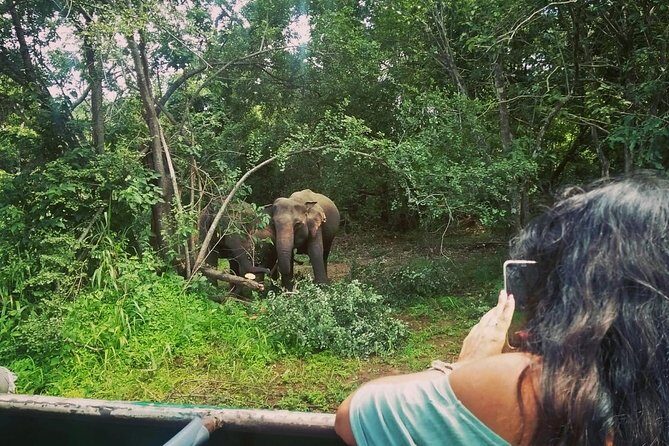 Private Dambulla Sigiriya Tour from Kandy with Lunch - The Tour Experience from the Traveler’s Perspective