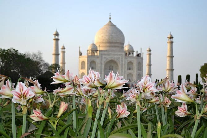 Private Dancer's Trail in Chennai - Logistics and Practicalities