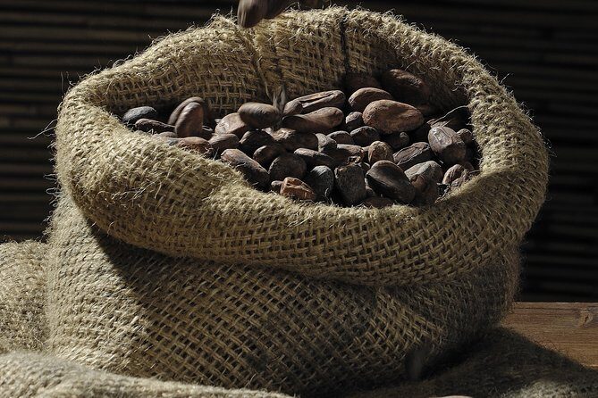 Private Dark Chocolate Tasting Tour in Paris - The Value: Is It Worth the Cost?