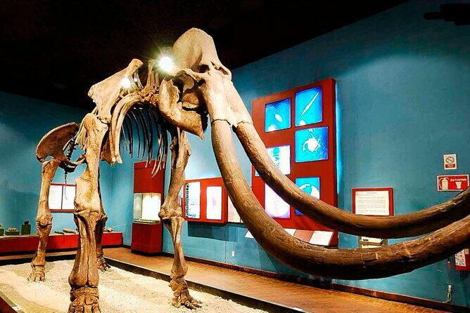 Private Day Adventure through the Guadalajara Museums and Michin Aquarium - An In-Depth Look at the Guadalajara Museums and Michin Aquarium Tour