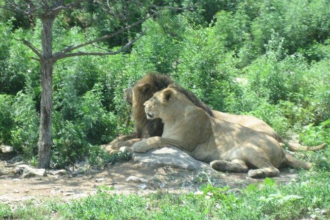 Private Day All-inclusive Tour to Longqingxia Gorge and Badaling Wildlife World - Who Will Enjoy This Tour Most?