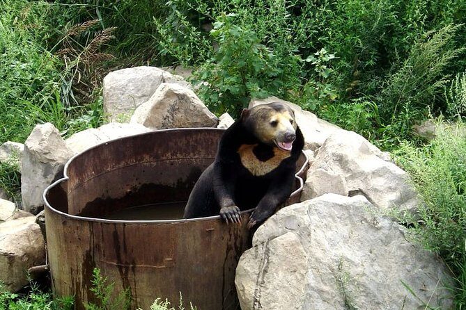 Private Day All-inclusive Tour to Longqingxia Gorge and Badaling Wildlife World - FAQs