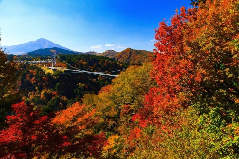 PRIVATE Day BUS Tour to KOKONOE & YUFUIN, BEPPU from Fukuoka - An In-Depth Look at the Tour Experience