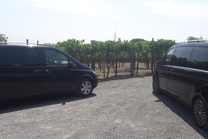 Private Day Escape: Pompeii, Sorrento and Positano from Naples - Price Analysis and Value