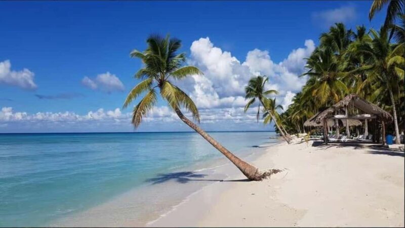 Private Day Excursion to Saona Island from Juan Dolio - Key Points