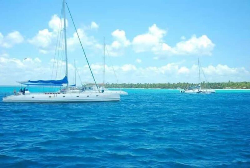 Private Day Excursion to Saona Island from Juan Dolio - Final Words