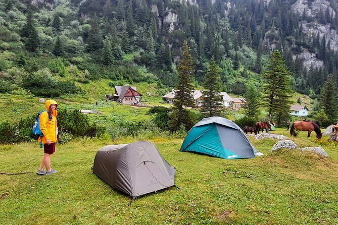 Private day hike from Brasov to Malaiesti Cottage - A Clear Look at the Brasov to Malaiesti Cottage Hike