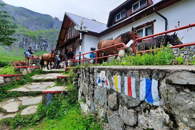 Private day hike from Brasov to Malaiesti Cottage - Key Points