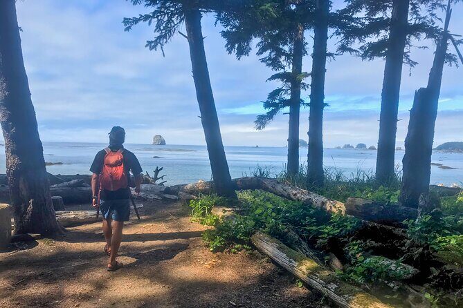 Private Day Hike in the Ozette Triangle - Who Is This Tour Best For?
