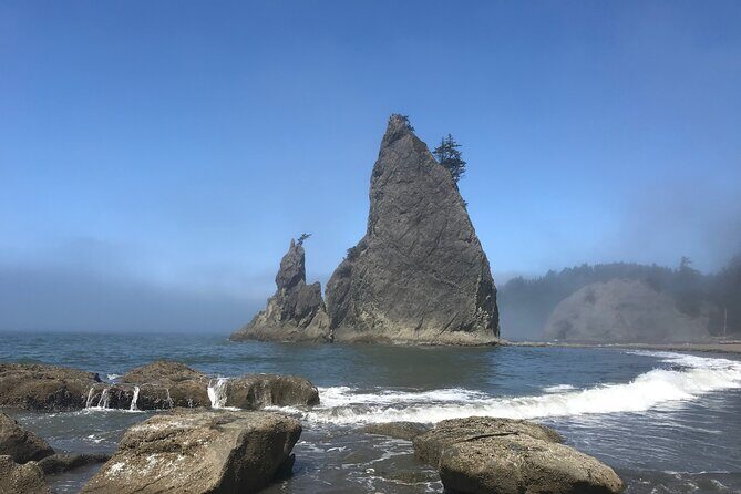 Private Day Hike- Rialto Beach Tide Pooling - Exploring the Rialto Beach Tide Pooling Experience: An Honest Review