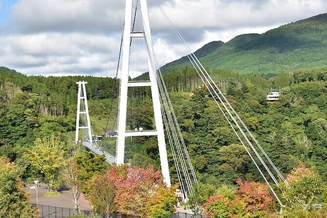 PRIVATE Day MiniBUS Tour to KOKONOE & YUFUIN, BEPPU from Fukuoka - The Transport and Pricing