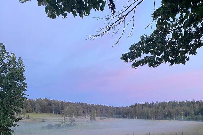 Private Day Road Trip from Helsinki: Raseborg, Fagervik, Porkkala - The Sum Up